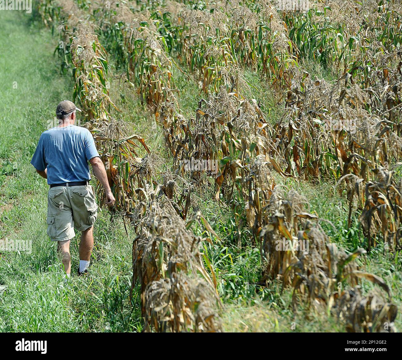 Jim Geoghegan, owner of Sunshine Farm in Sherborn, Mass., surveys a ...