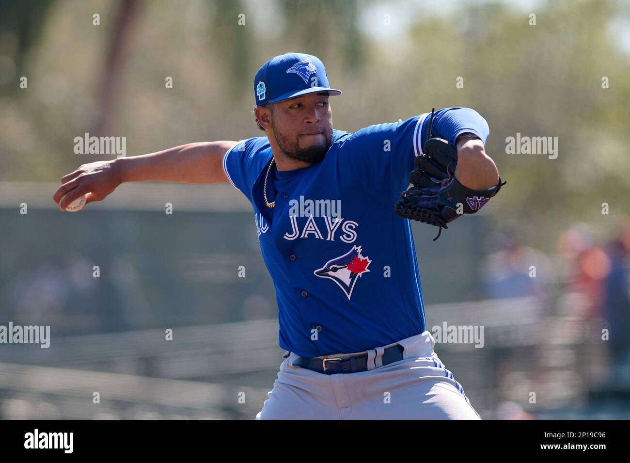 Toronto Blue Jays pitcher Julian Fernandez (35) during a spring ...