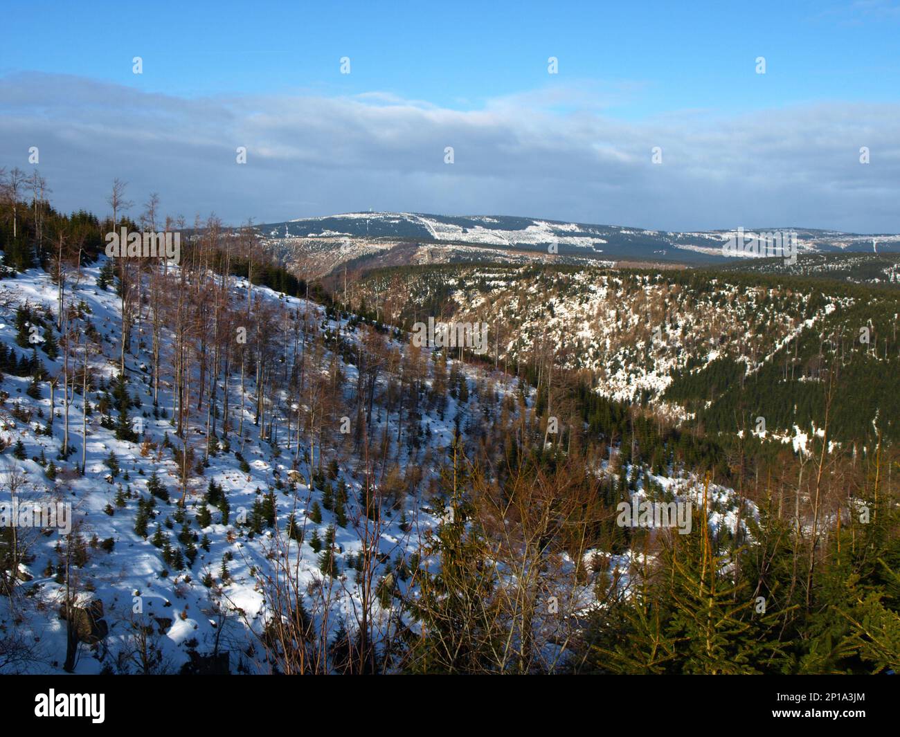 Acid rains -Fotos und -Bildmaterial in hoher Auflösung – Alamy
