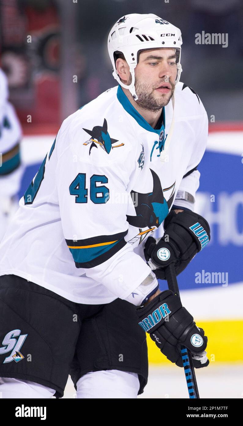 NHL player profile photo on San Jose Sharks' Roman Polak, from Czech ...