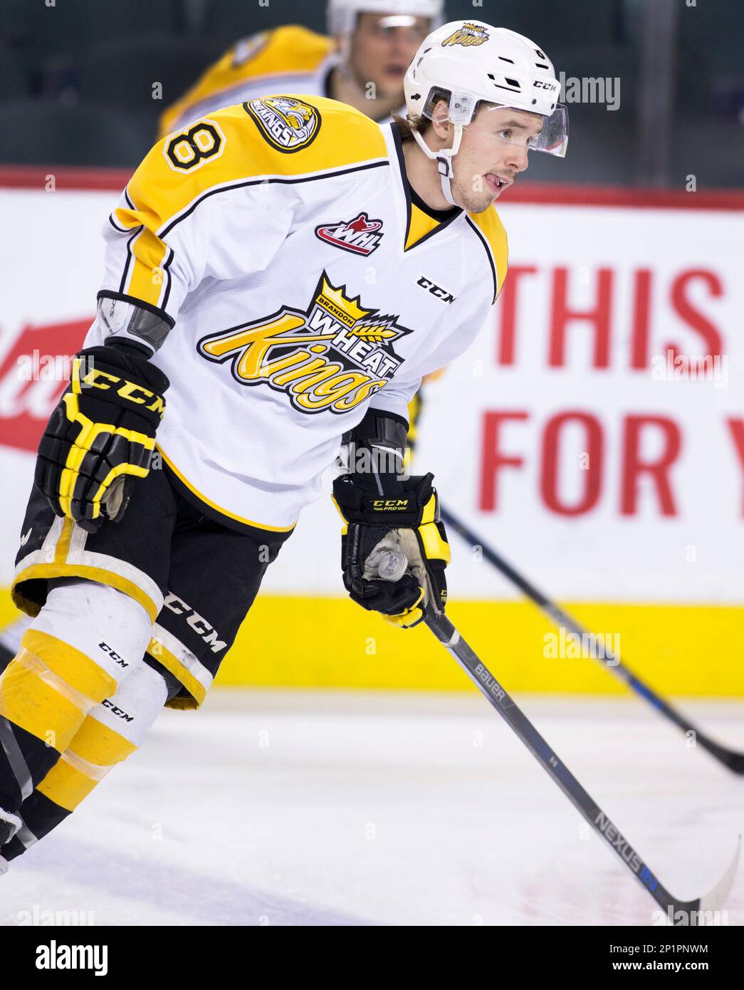 WHL (Western Hockey League) player profile photo on Brandon Wheat Kings ...