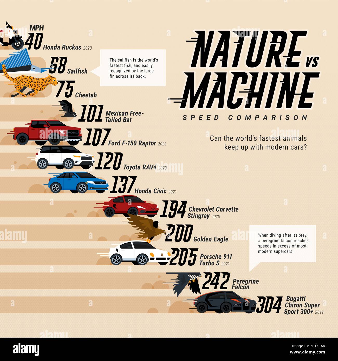 Geschwindigkeit der Tiere im Vergleich zu Autos, Infografik ...