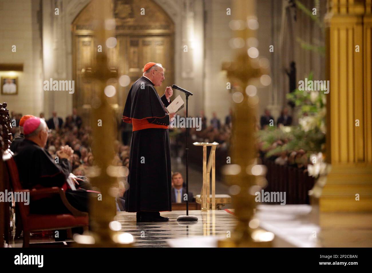 Cardinal Timothy Dolan, the Archbishop of New York, speaks to Pope ...