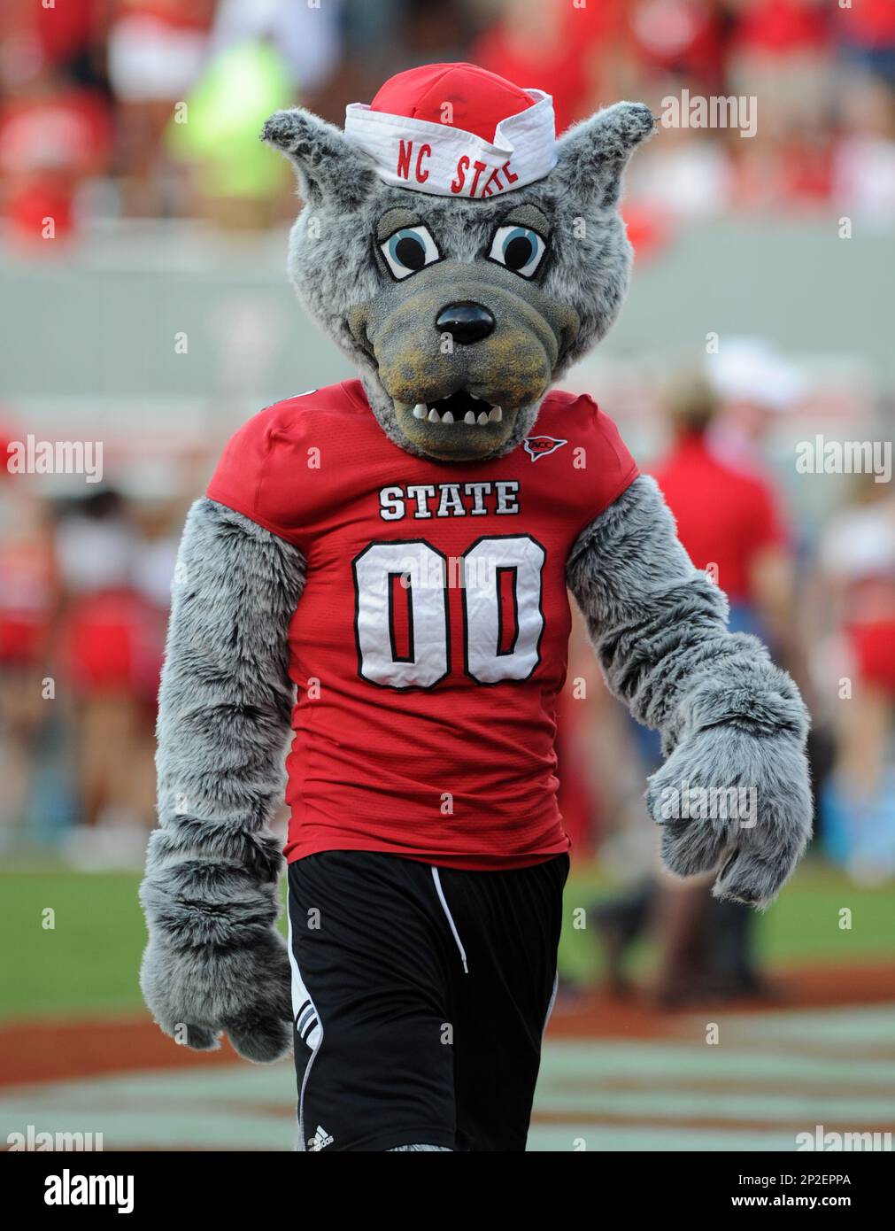 September 05 2015: North Carolina State Wolfpack mascot Mr. Wuf during ...
