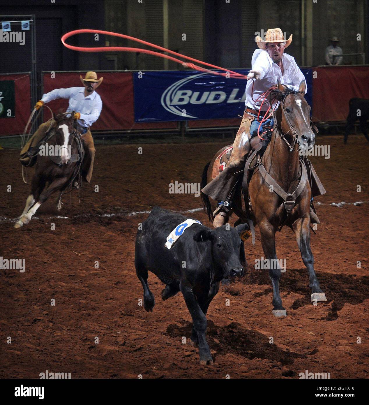 Chris Henry of the Waggoner Ranch throws his loop during the Calf ...