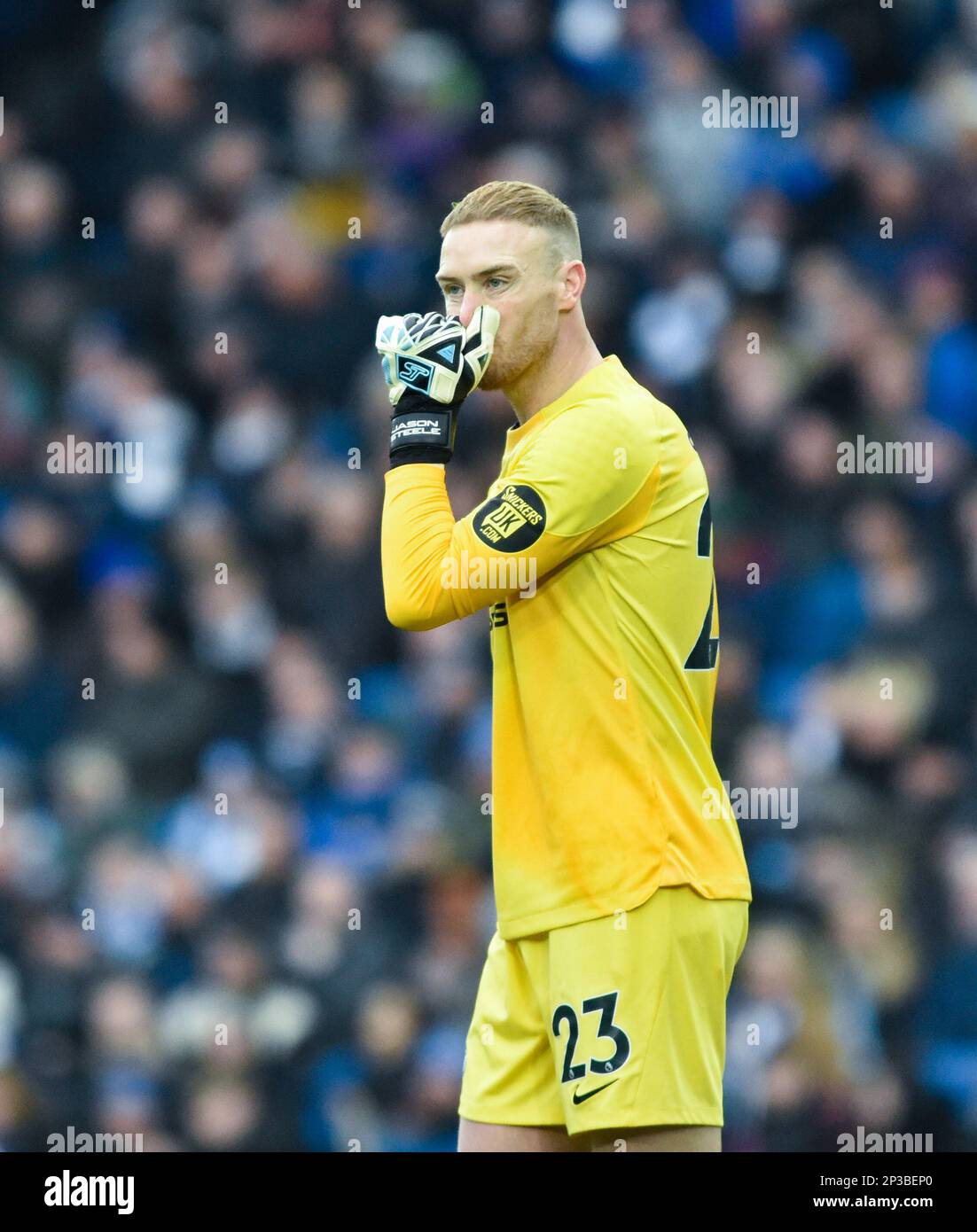 Brightons jason steele -Fotos und -Bildmaterial in hoher Auflösung – Alamy