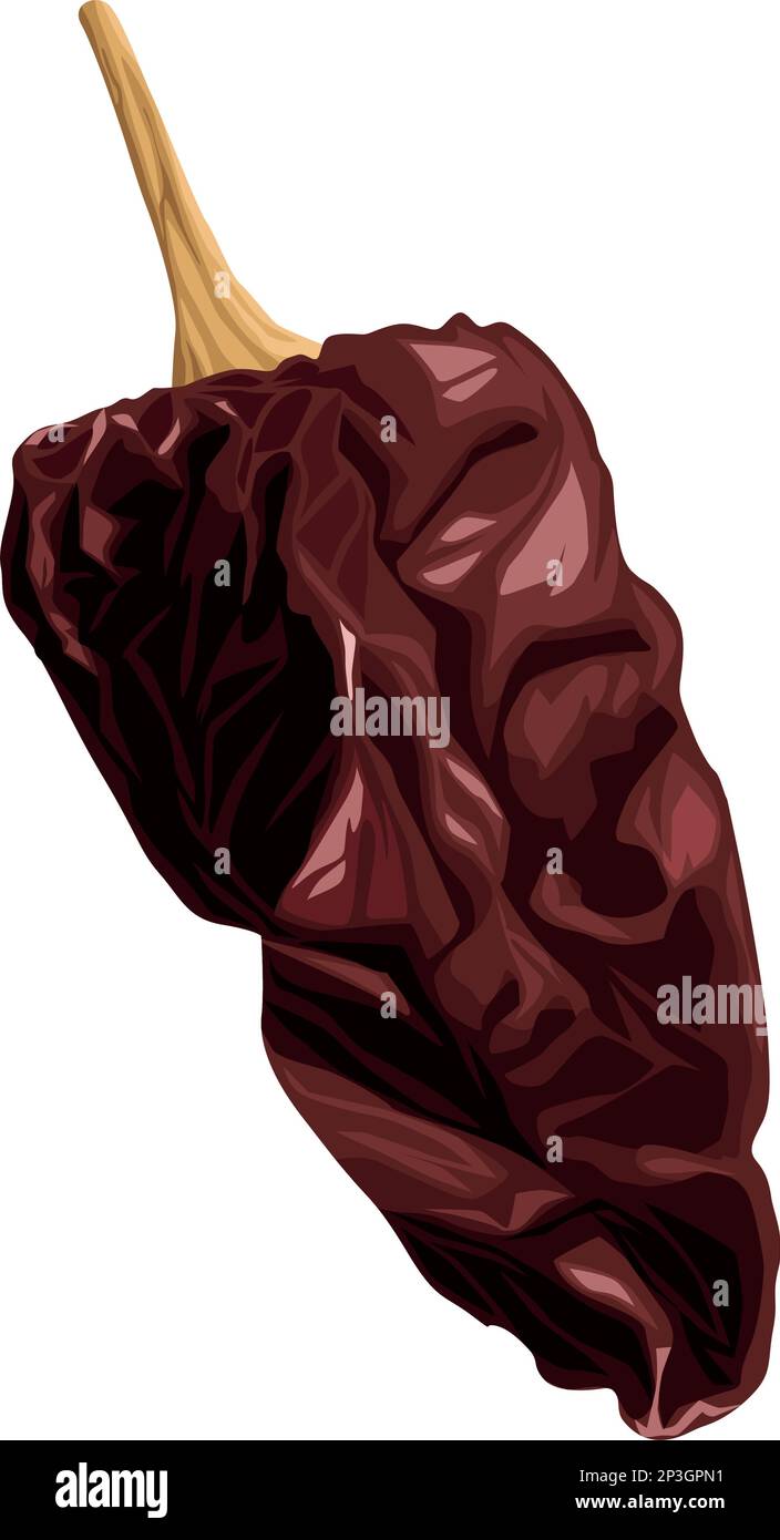 Chipotle chili Stock-Vektorgrafiken kaufen - Alamy