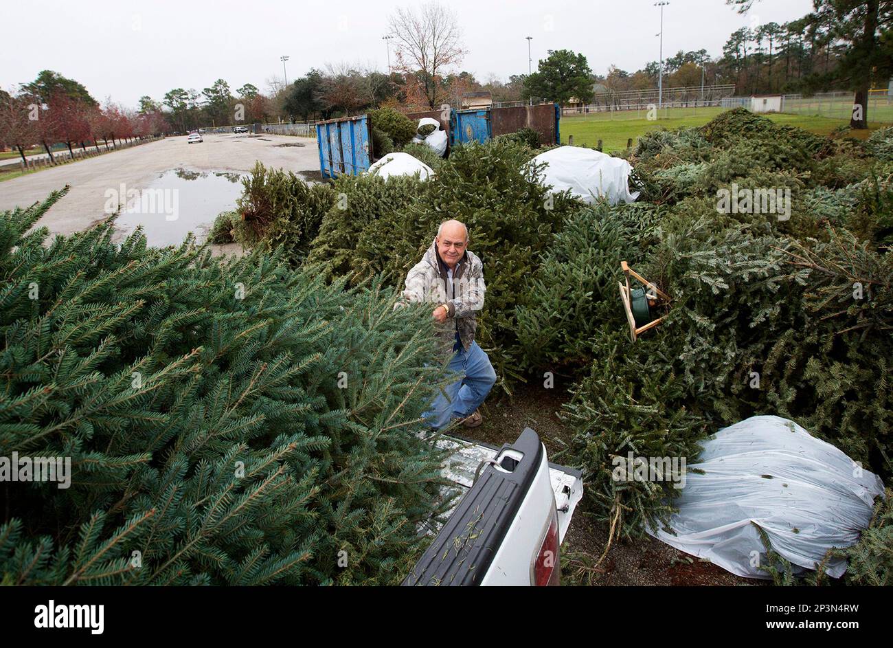 Chuck Schwing unloads a Christmas tree at Memorial Park, Friday, Jan. 2 ...