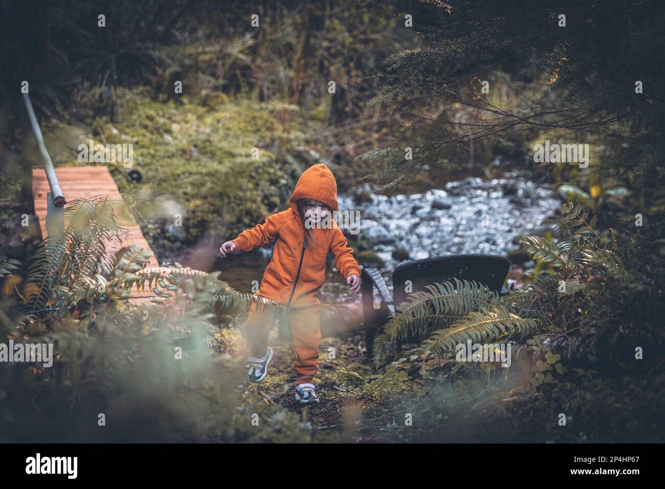 Ein kind, das durch einen wald geht -Fotos und -Bildmaterial in hoher ...