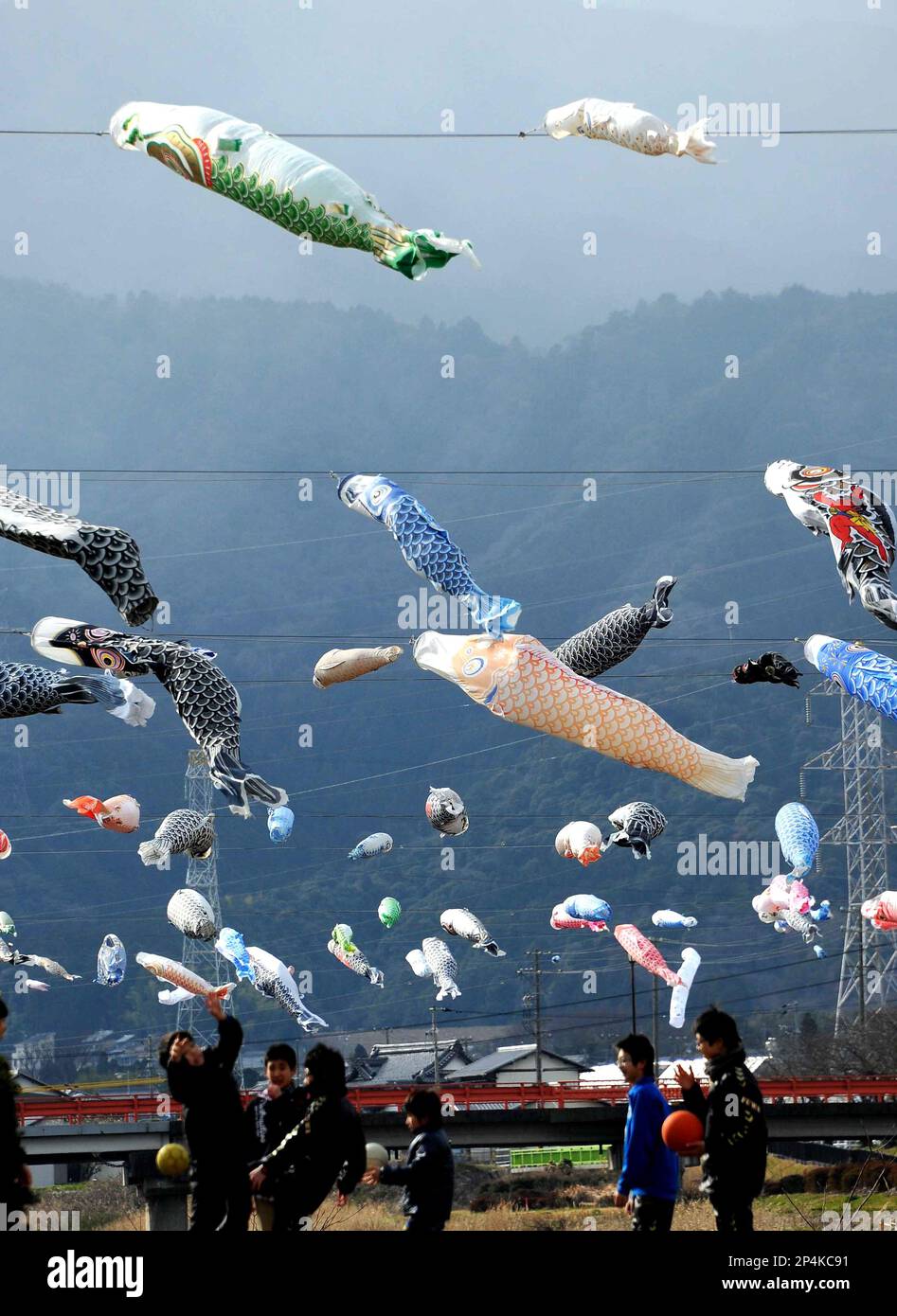 Colorful carp streamers are flying in the wind along the Aikawas river ...
