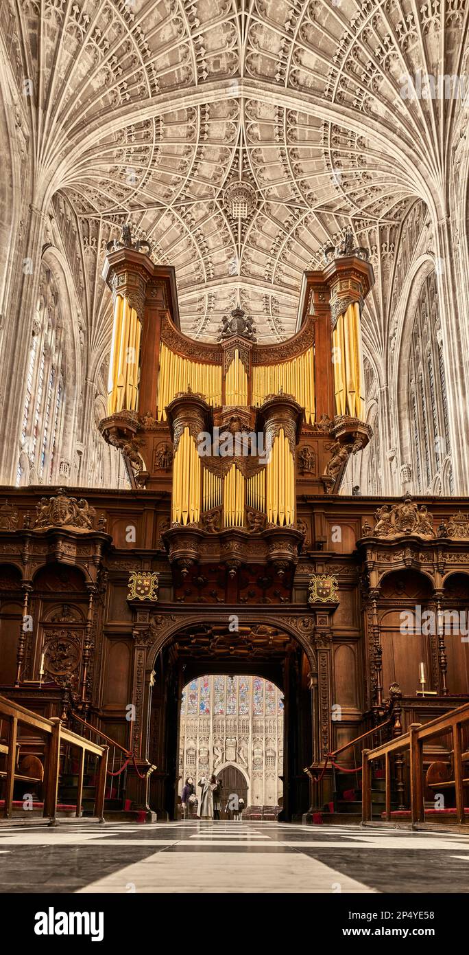 Die Orgel und dunkle Eichenwand unter der gewölbten Decke der Kapelle ...