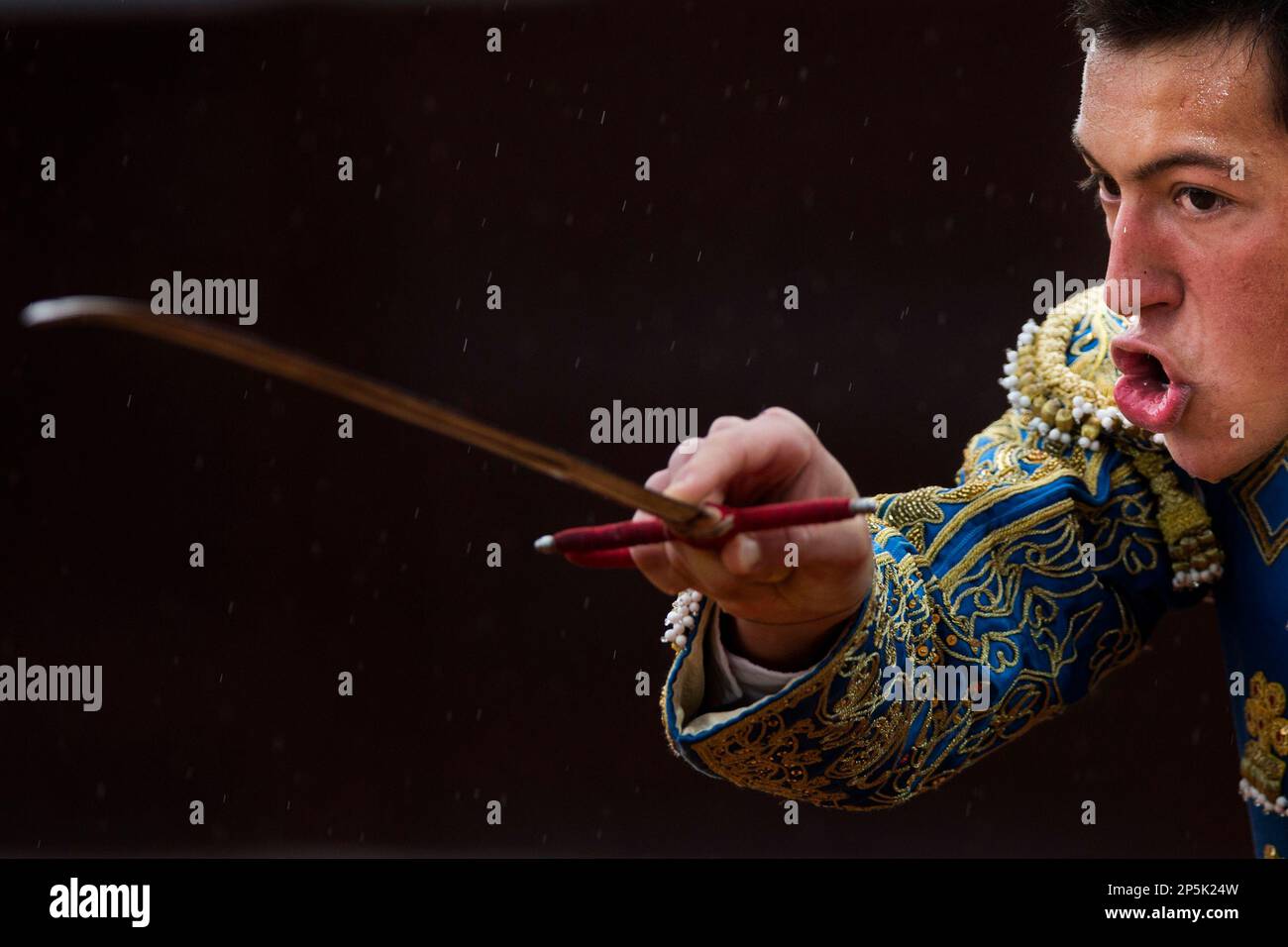 Spanish bullfighter Miguel Angel Silva aims his sword before killing a ...