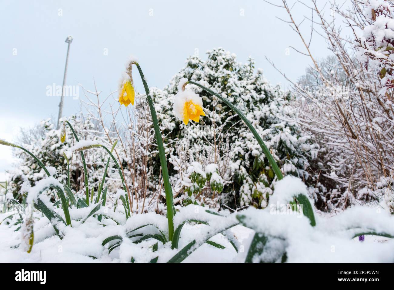 Schnee nachrichten irland -Fotos und -Bildmaterial in hoher Auflösung ...