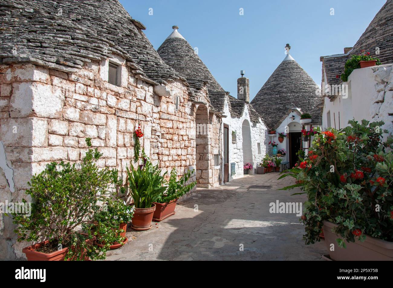 Die italienischen Trulli-Häuser in Alberobello, Apulien, zeigen die ...