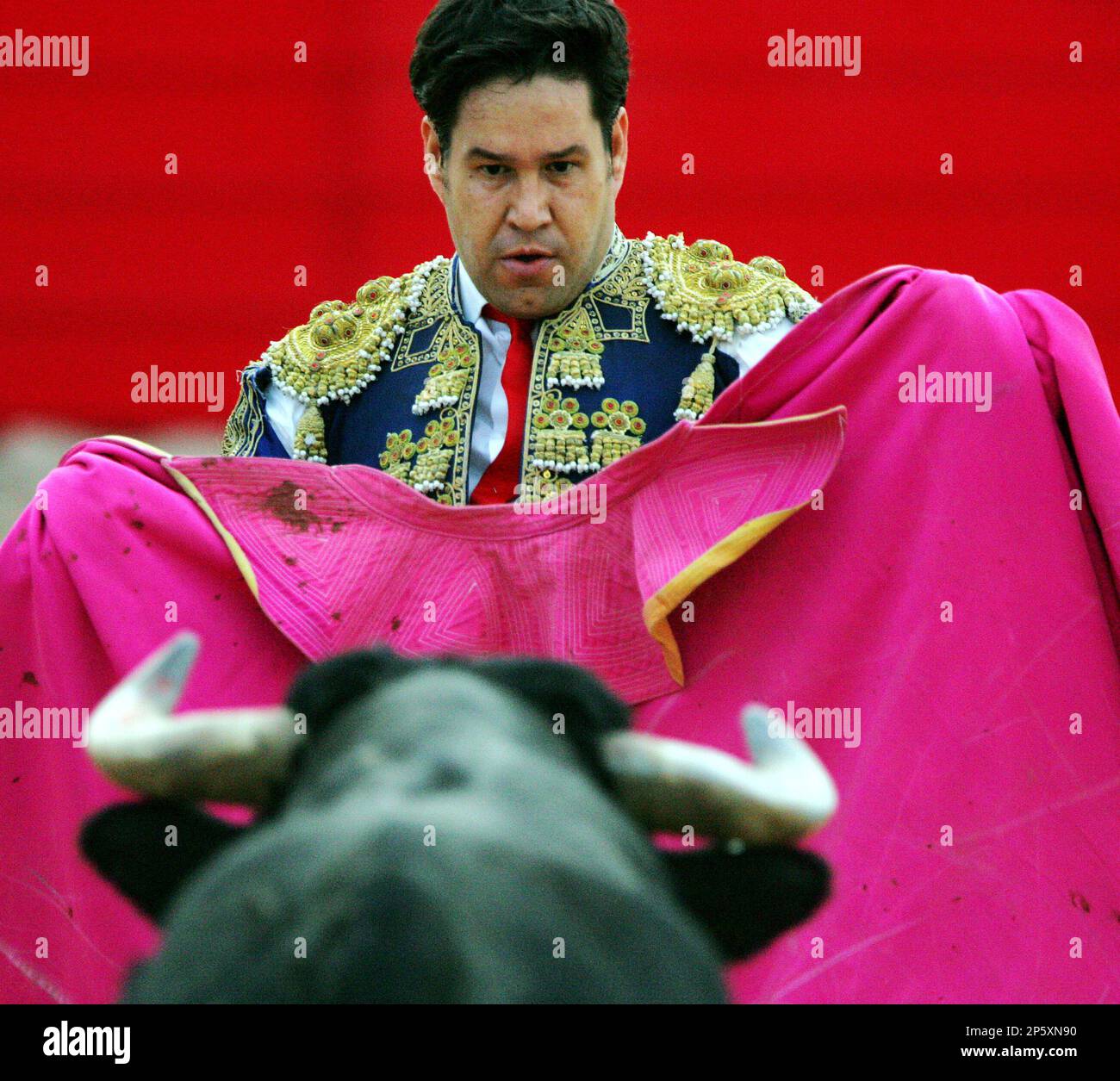 Professional bullfighter Cesar Garza taunts a bull in front of a crowd ...