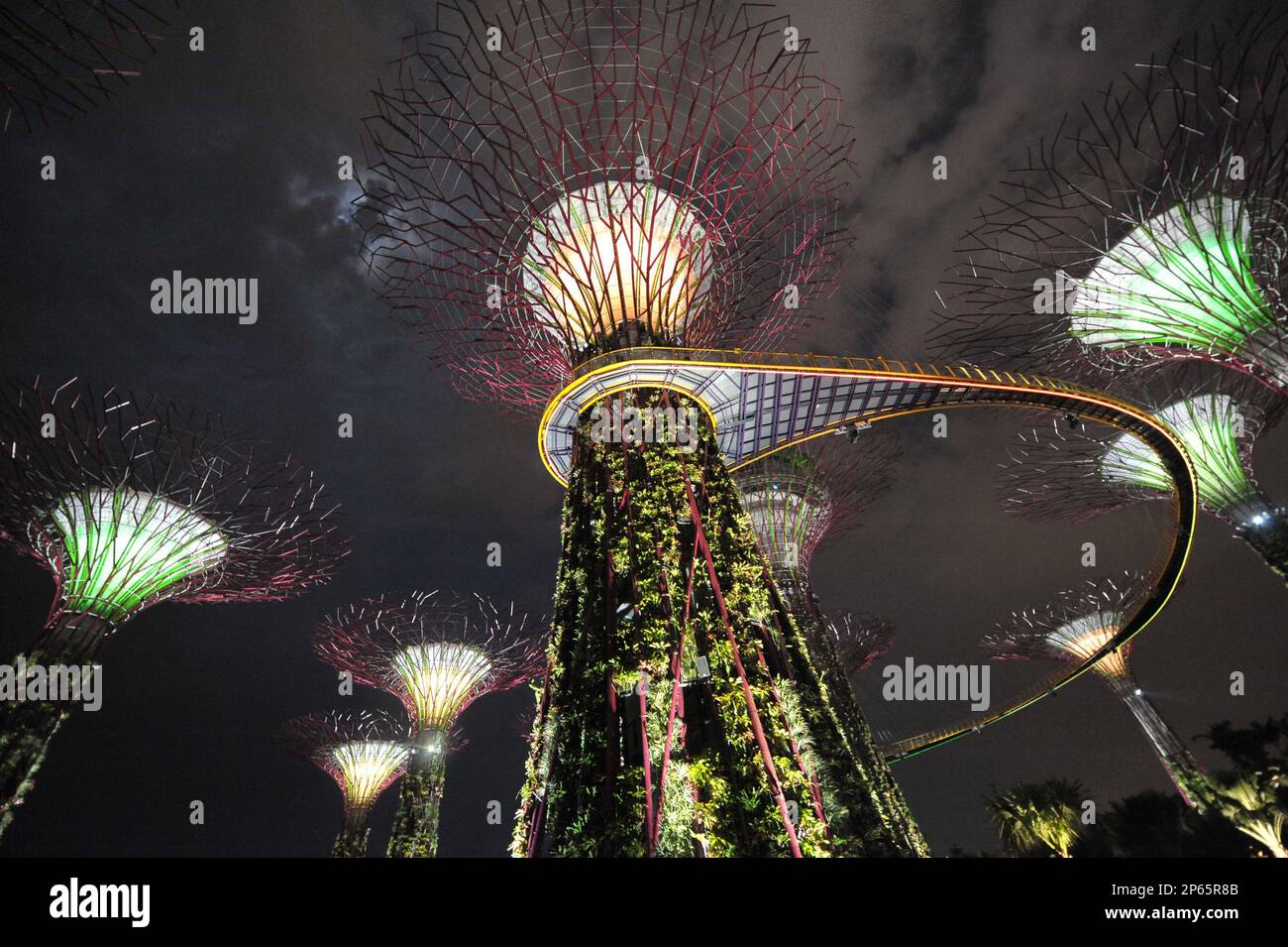 The OCBC Light and Sound Show bathes the Supertrees at the Gardens By ...