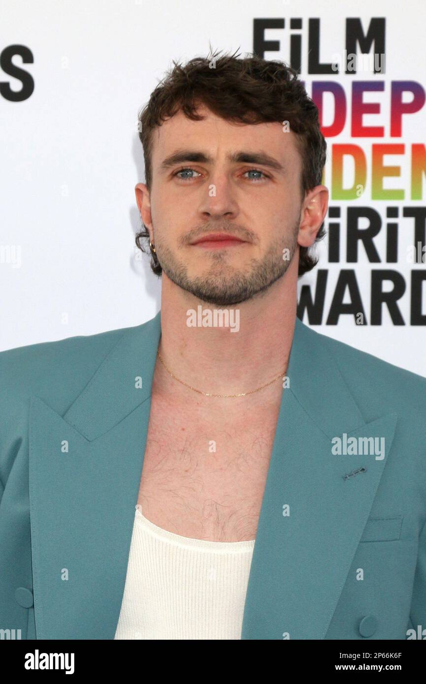 4 mescal -Fotos und -Bildmaterial in hoher Auflösung – Alamy