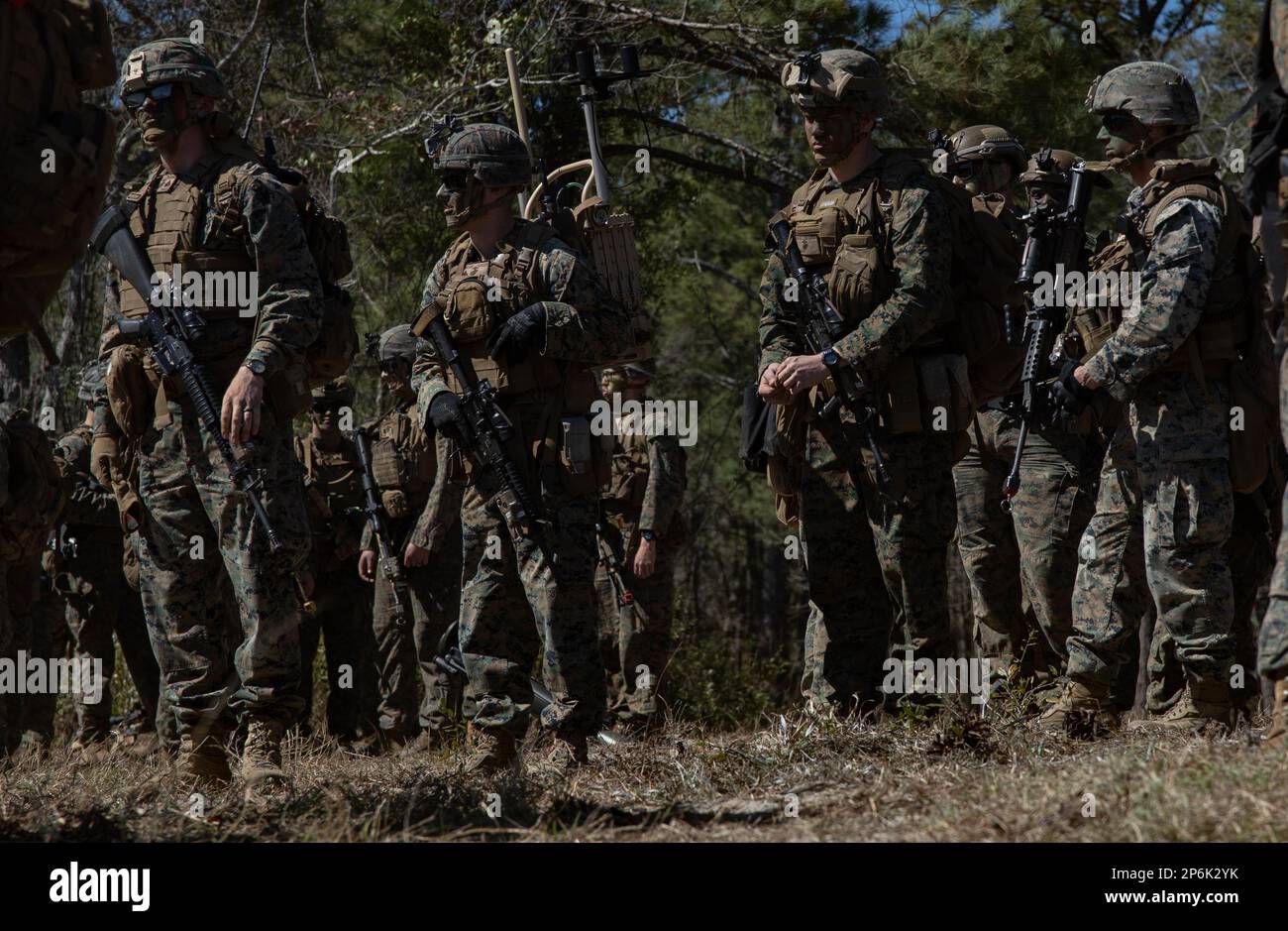 Blt 1 6 -Fotos und -Bildmaterial in hoher Auflösung – Alamy