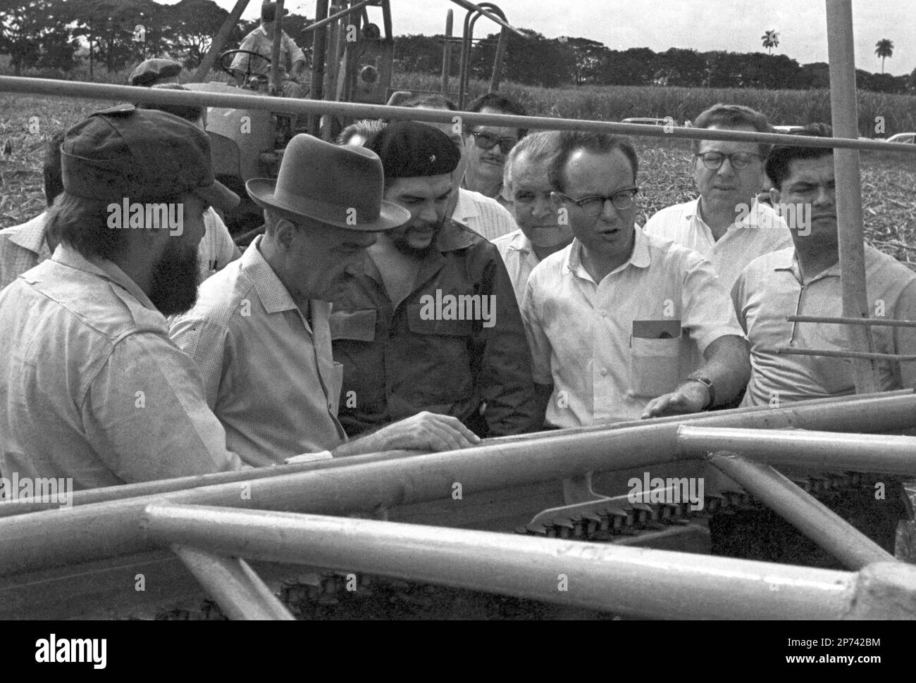 In this undated photo, Cuban revolutionary hero Ernesto “Che” Guevara ...