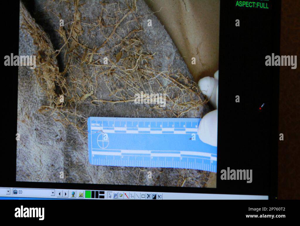 An image projected on a courtroom monitor shows a photo entered into ...