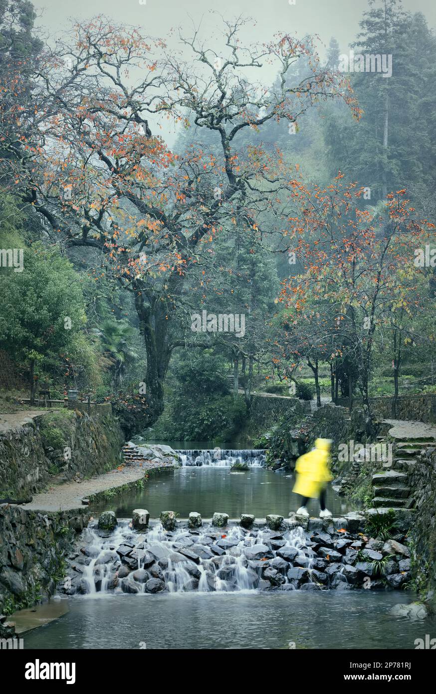 Pingnan -Fotos und -Bildmaterial in hoher Auflösung – Alamy