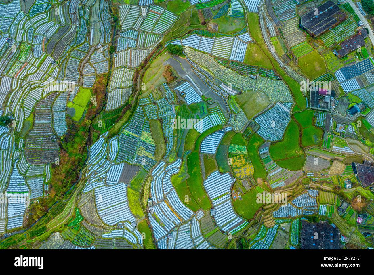 Siu tong -Fotos und -Bildmaterial in hoher Auflösung – Alamy