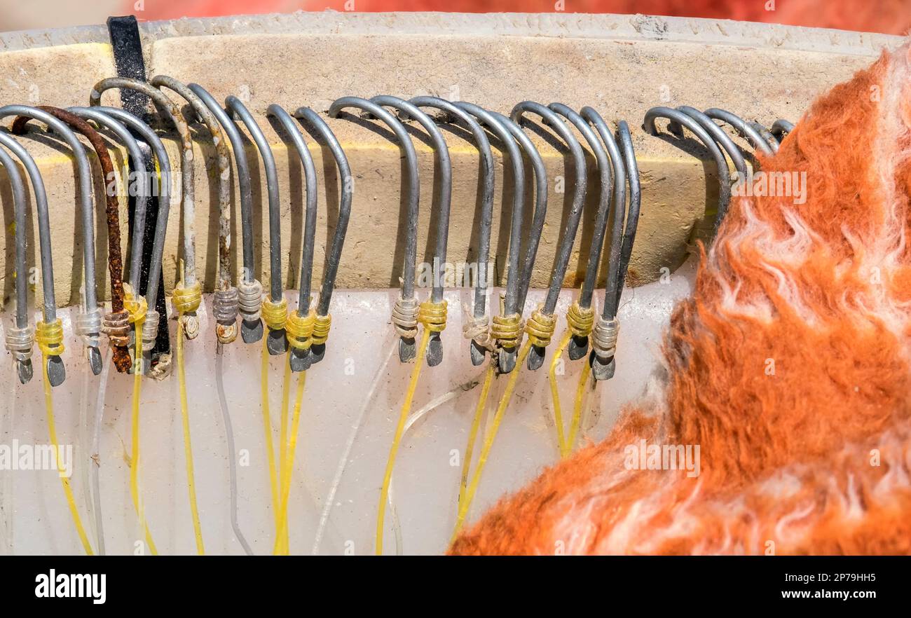 Fischerei langleine -Fotos und -Bildmaterial in hoher Auflösung – Alamy