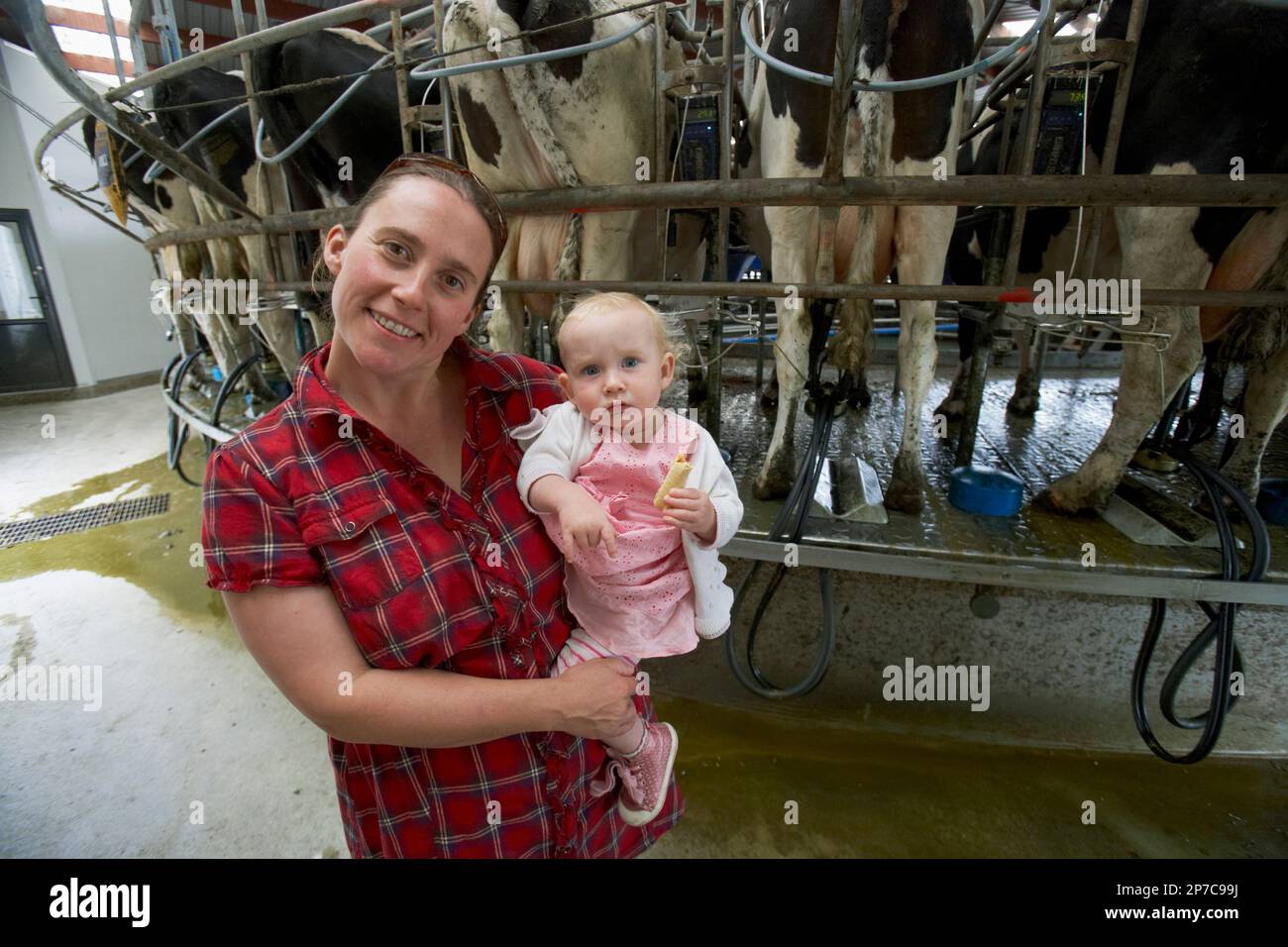 Bäuerin beim melken -Fotos und -Bildmaterial in hoher Auflösung – Alamy