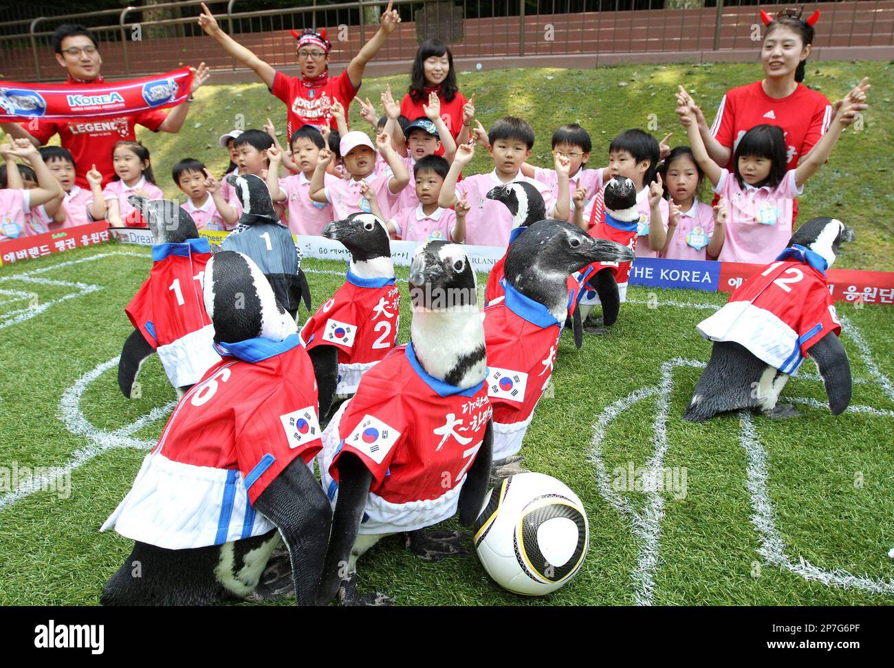 Penguins wearing the South Korean national soccer team uniform play ...