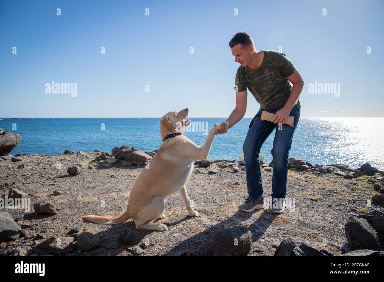 Exercices sur une plage -Fotos und -Bildmaterial in hoher Auflösung – Alamy