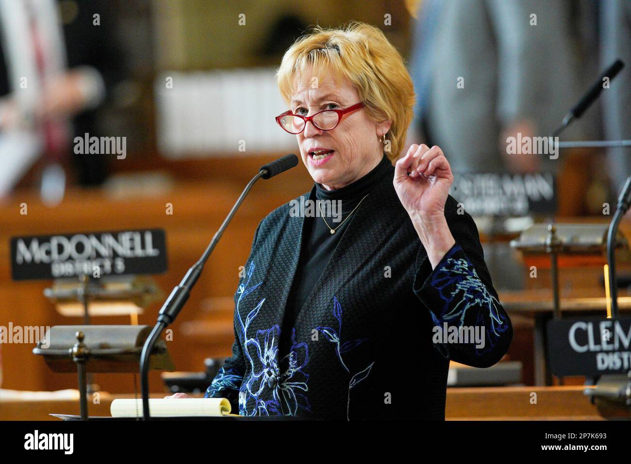 FILE - Nebraska state Sen. Lou Ann Linehan of Elkhorn speaks during ...