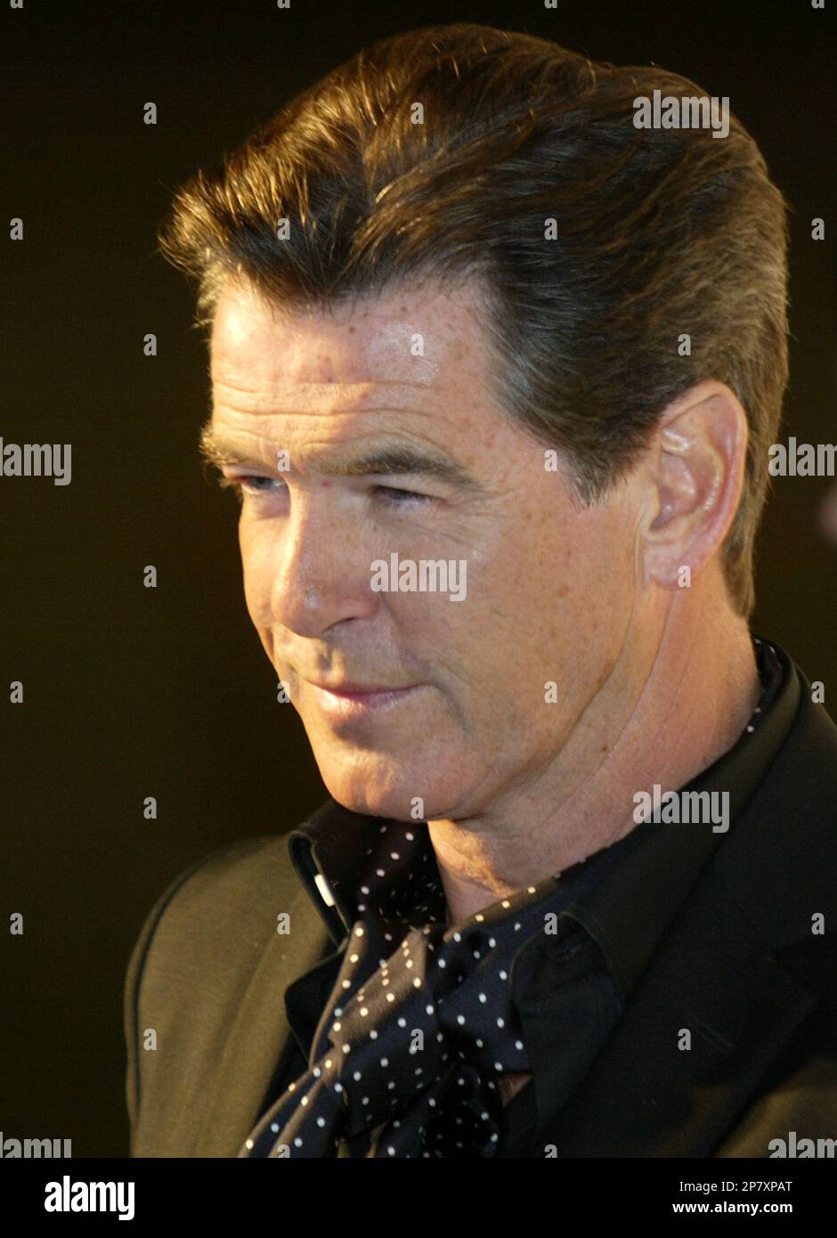 Irish actor Pierce Brosnan, former 007 James Bond actor, attends the ...