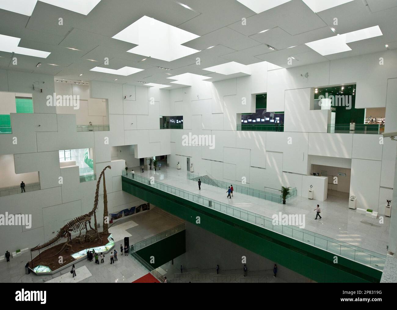 Dinosaur fossils from Yunnan are seen on display at the newly opened ...