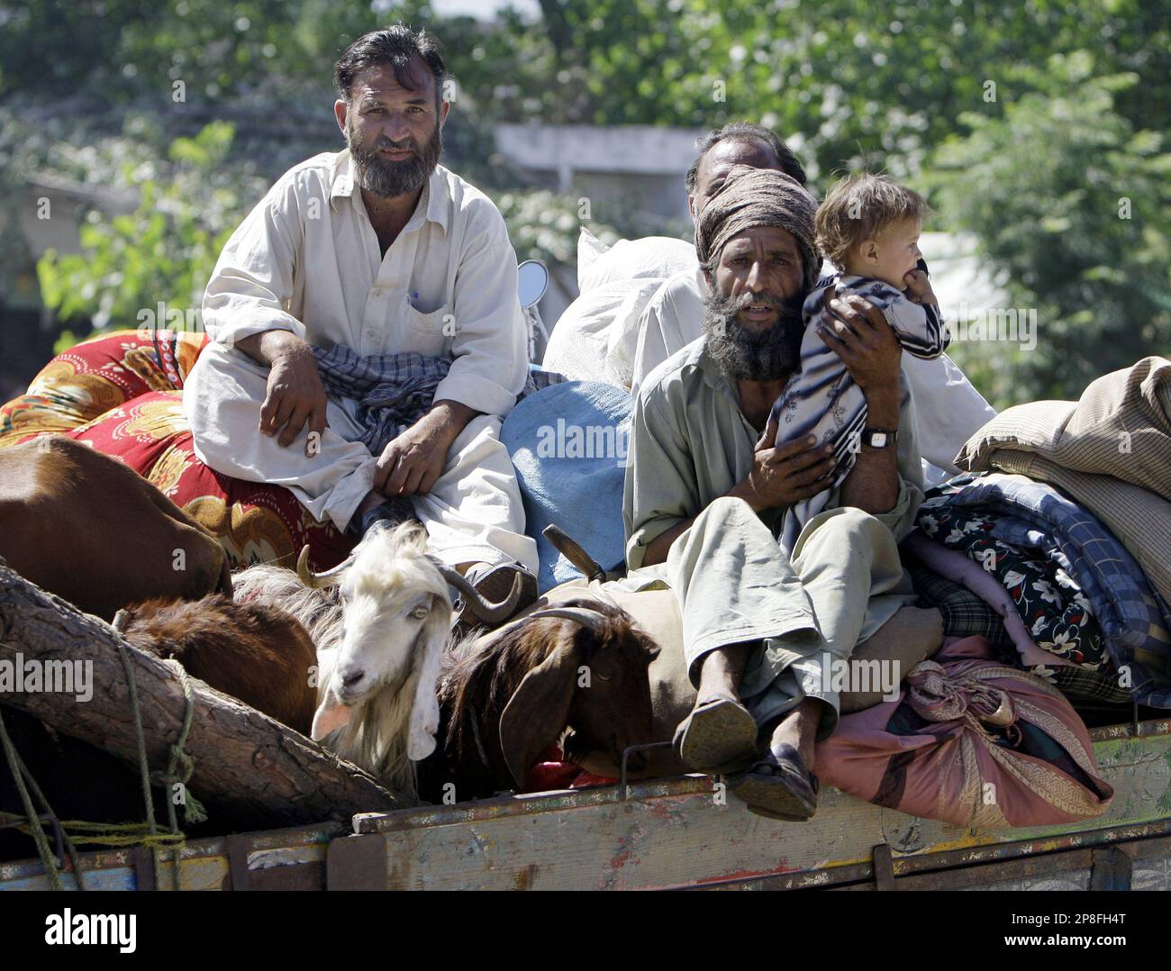 Refugees from fighting in the Swat Valley sit with their livestock and ...