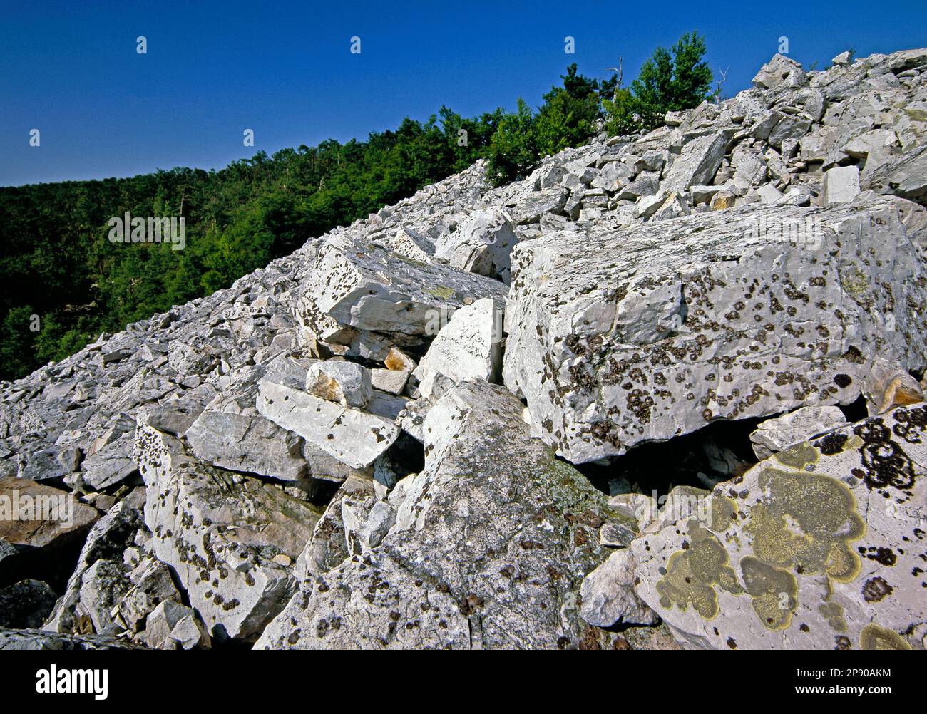Talus slope -Fotos und -Bildmaterial in hoher Auflösung – Alamy