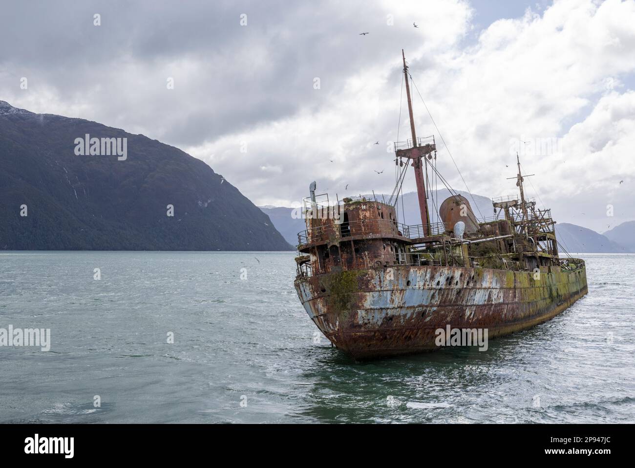 Bajo cotopaxi -Fotos und -Bildmaterial in hoher Auflösung – Alamy