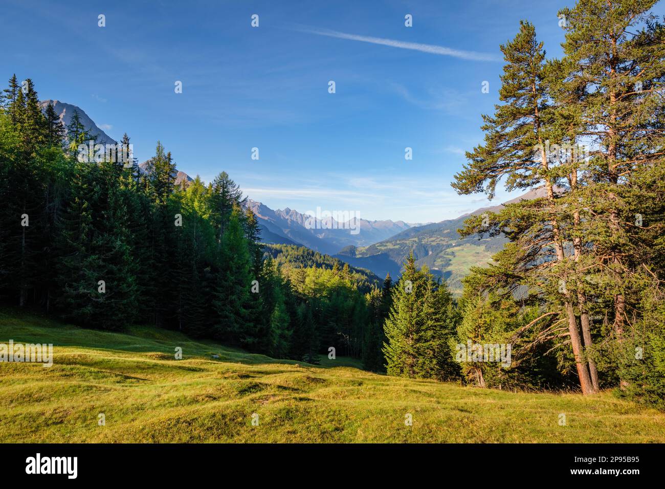 Der herrliche Wanderweg zum Schwarzer See beginnt am kleinen Mutzkopf ...