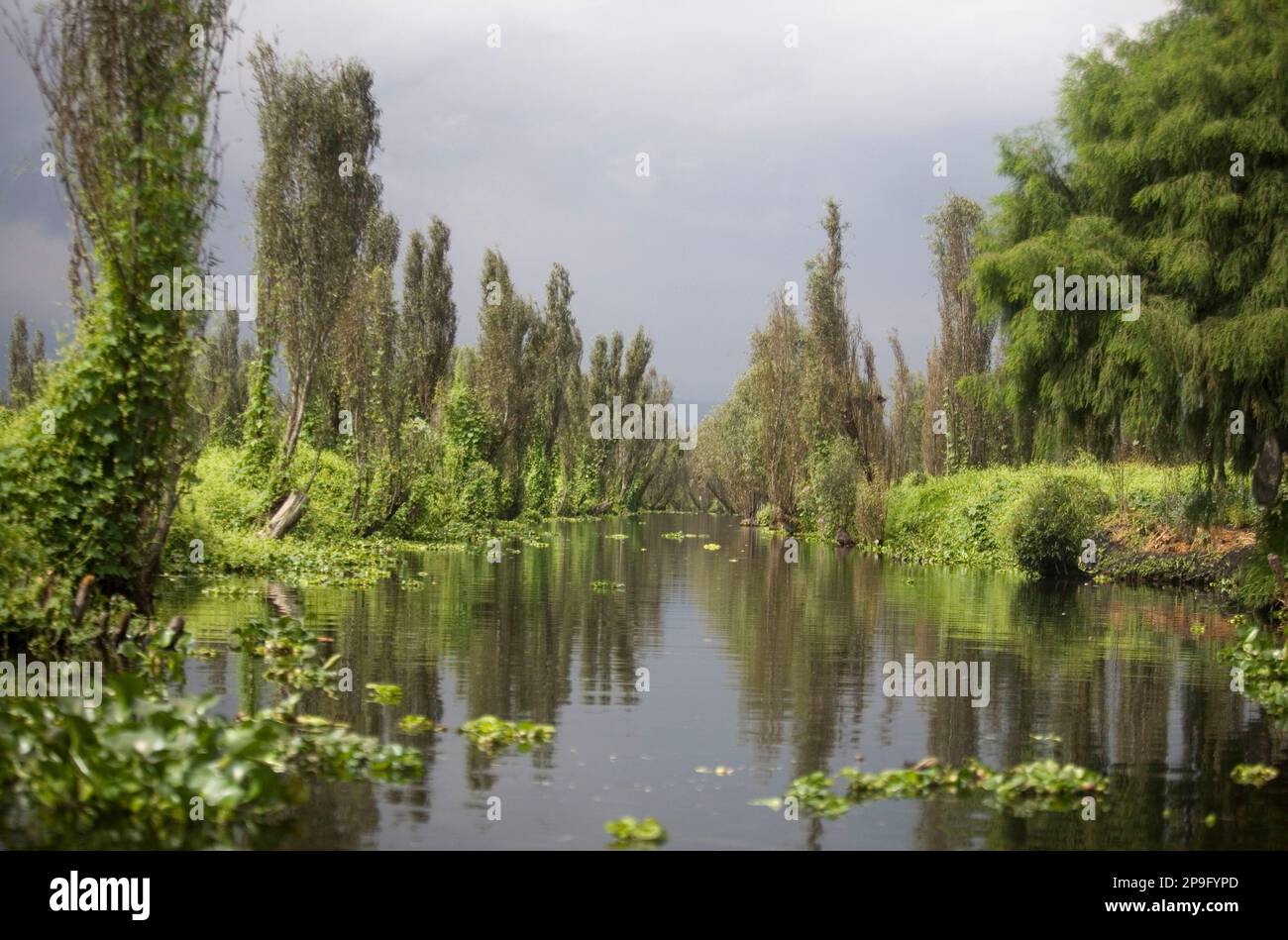 ** ADVANCE FOR SUNDAY, NOV. 2 ** A canal in Xochimilco Lake in Mexico ...