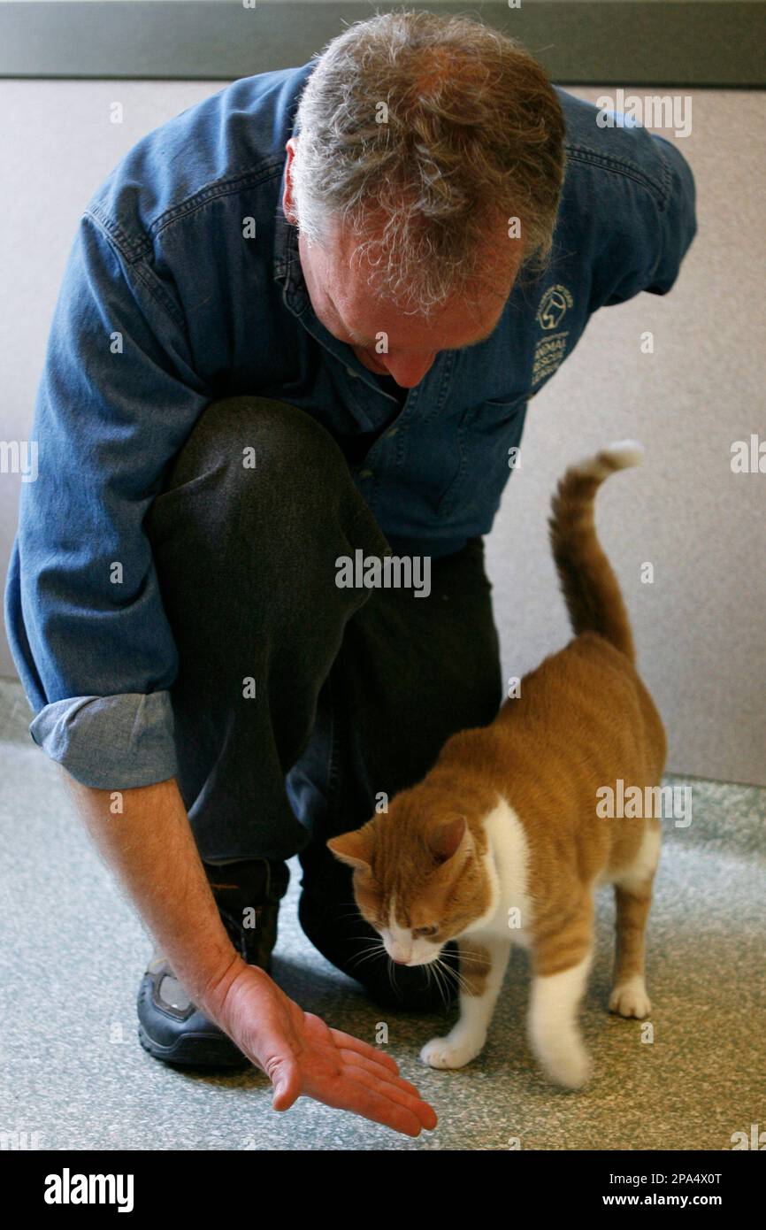Jim Monsma, director of communications at the Washington Animal Rescue ...