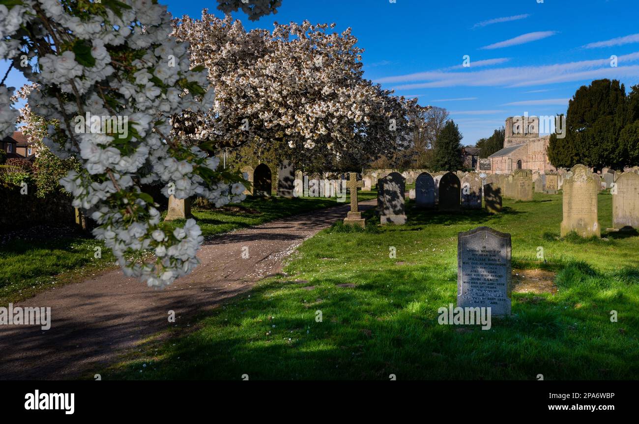 Norham kirche -Fotos und -Bildmaterial in hoher Auflösung – Alamy