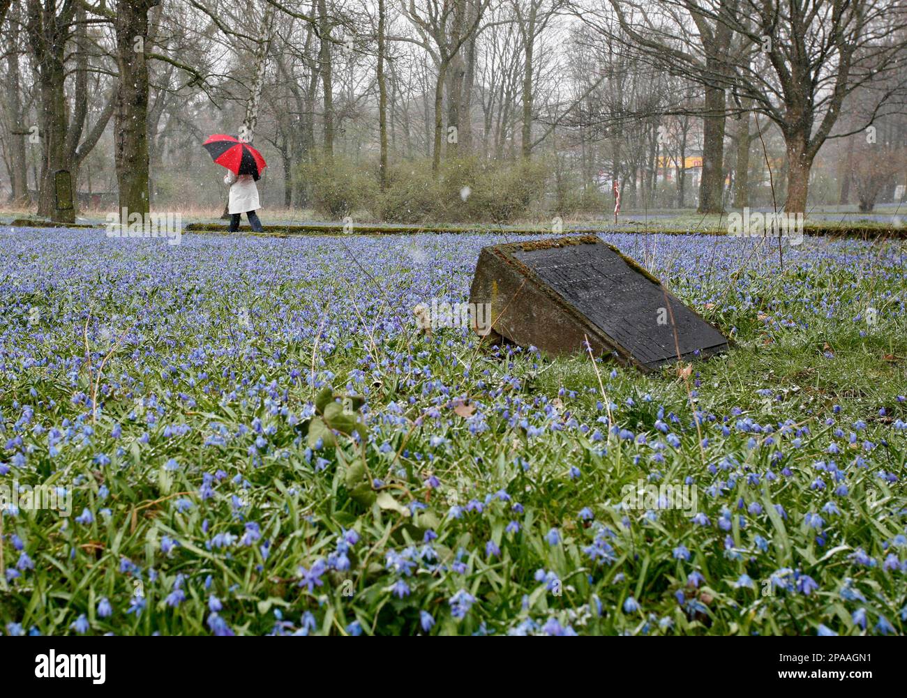 Eine Frau spaziert am Dienstag, 25. Maerz 2008, auf dem ehemaligen ...