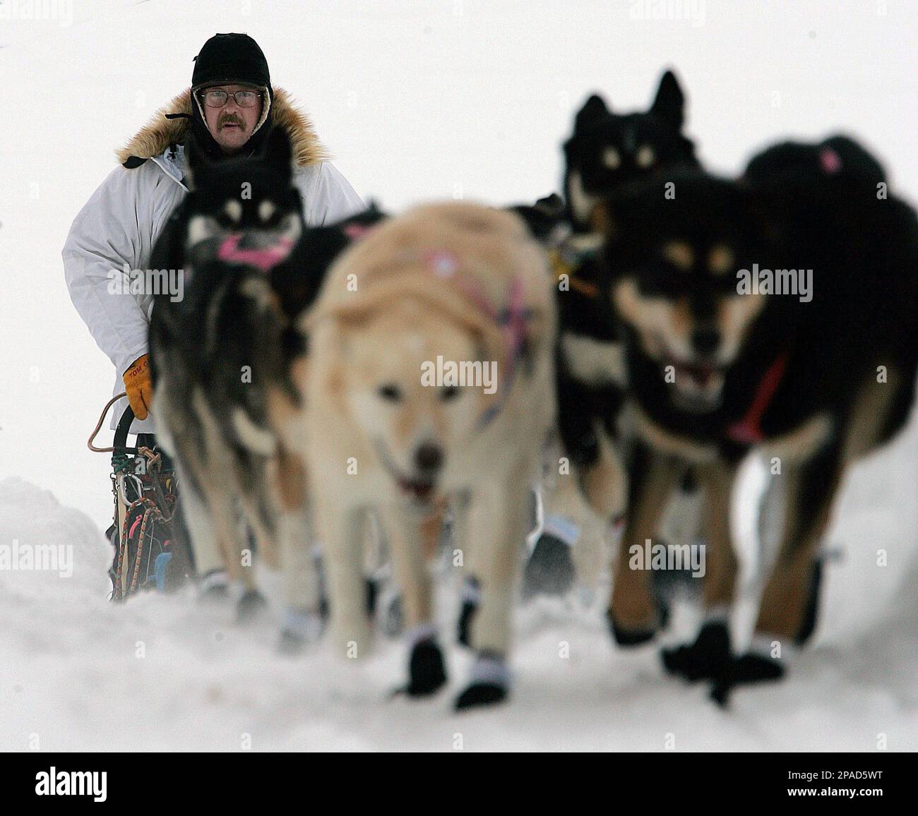 Five-time Iditarod champion Rick Swenson, of Two Rivers, Alaska drives ...
