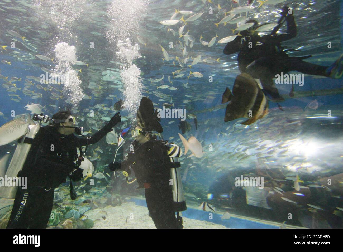 Divers play fishes at the soft opening of the Manila Ocean Park, the ...