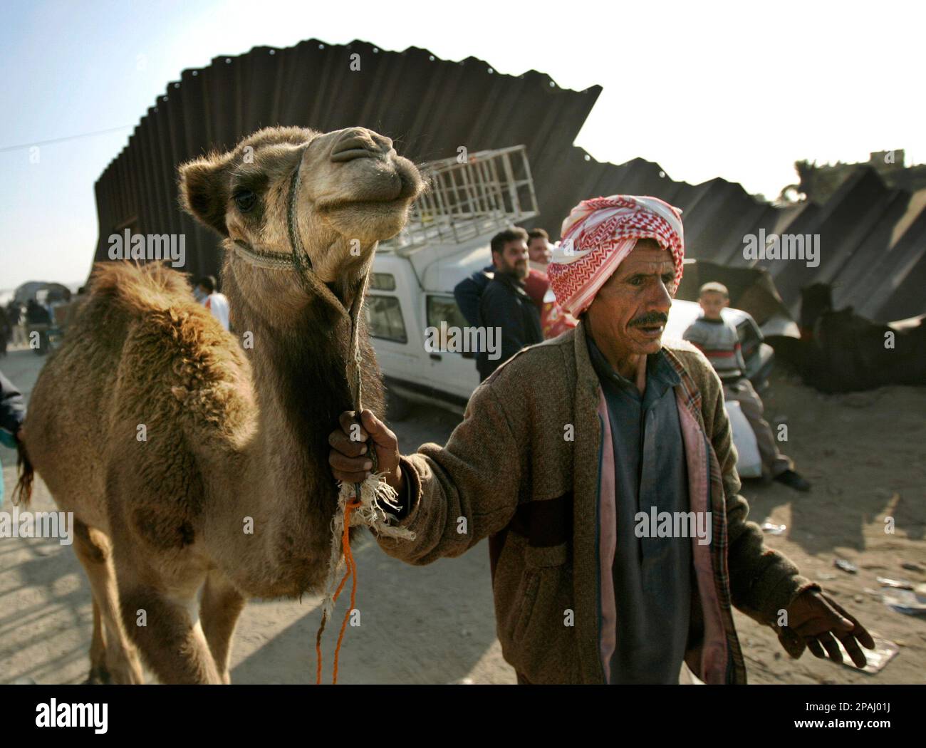 A Palestinian with a camel he bought in Egypt crosses the border back ...