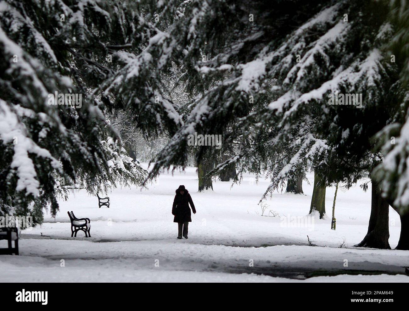 A woman makes her way through Ormeau Park, following a heavy snowfall ...