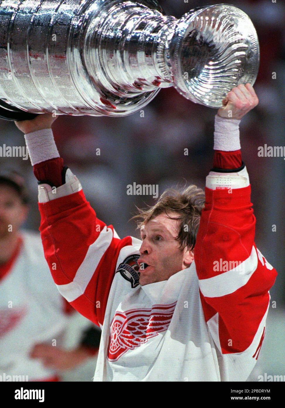 ** FILE ** Detroit Red Wings hockey team defenseman Vladimir ...