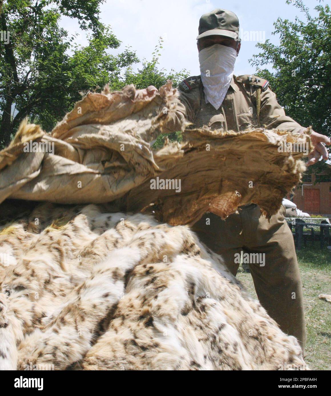 A member of Jammu Kashmir Wild life Department sorts garments made of ...