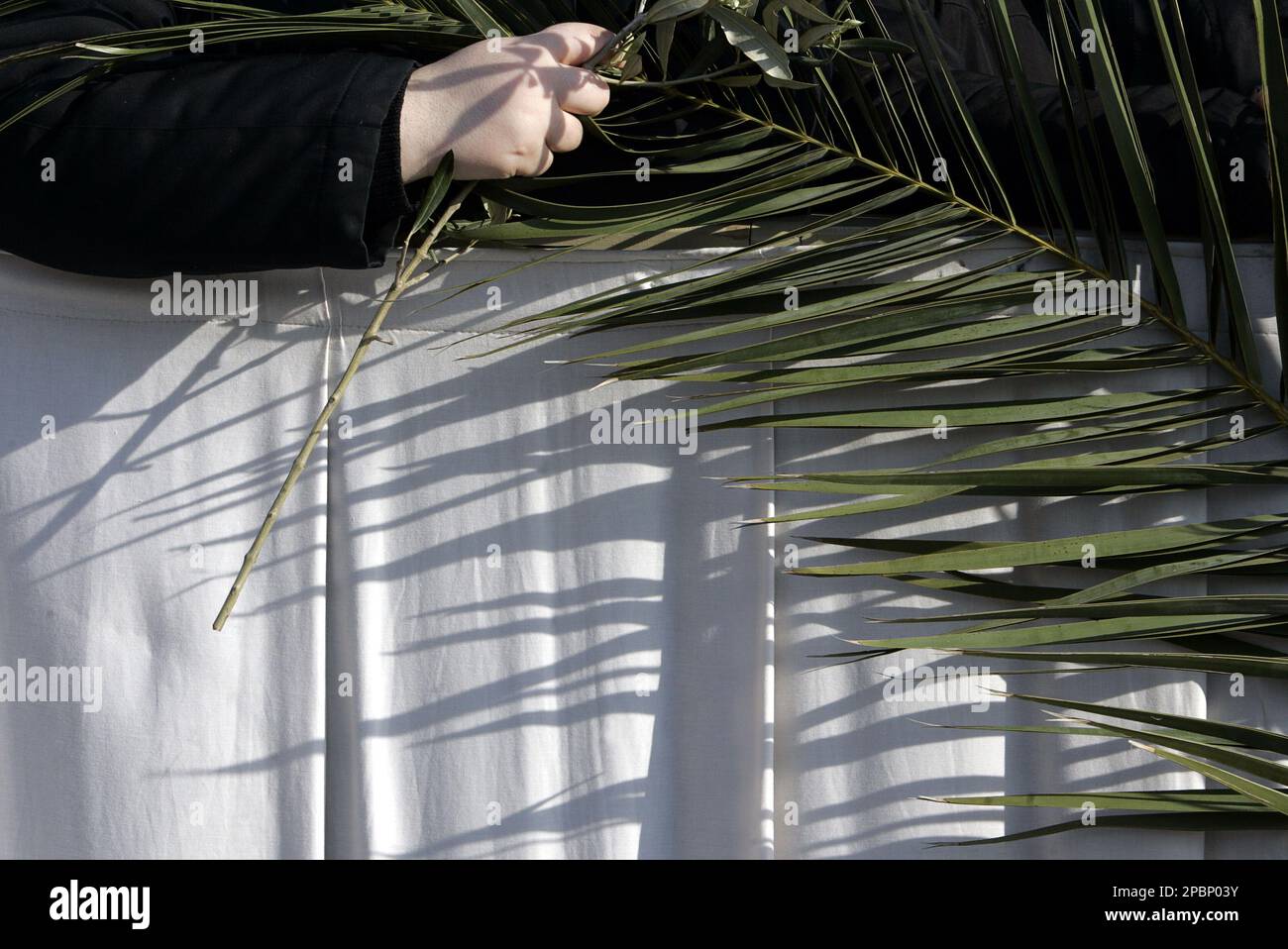 A nun holds a branch of an Olive tree during an open-air Palm Sunday ...