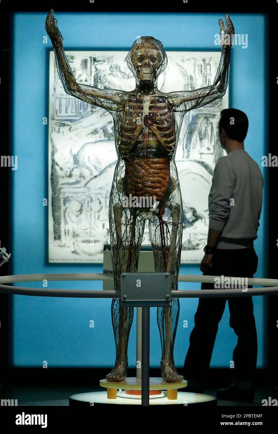 This anatomical model of a woman greets visitors to the "Deadly ...