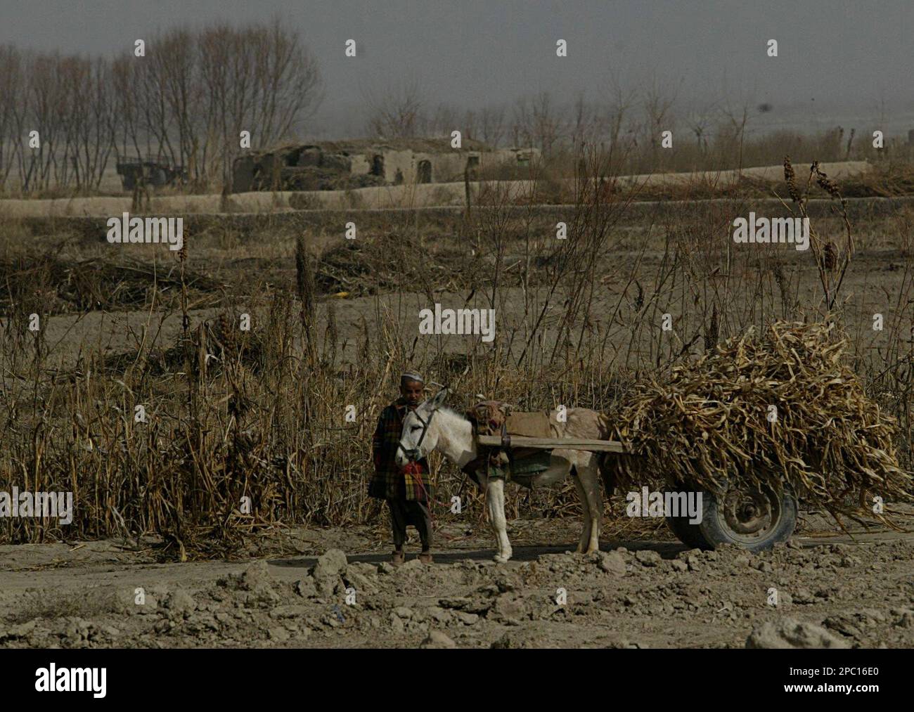 An Afghan boy looks on as U.S. Special Force soldiers (not seen in ...